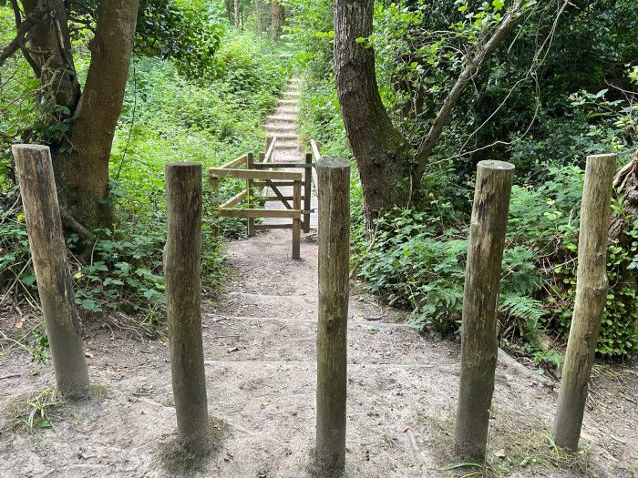 Paralympian David Weir backs Ramblers call for inclusive paths - Ramblers